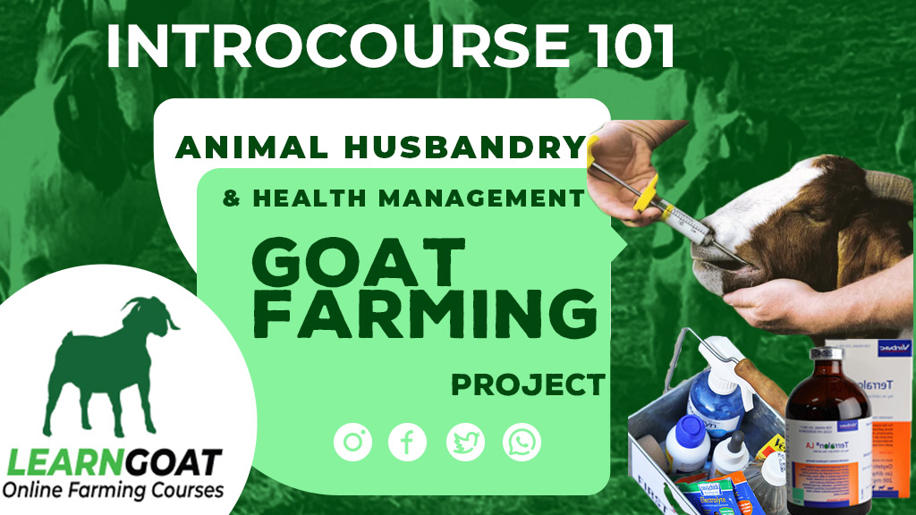Animal Husbandry & Animal Inspection - Learn Goat