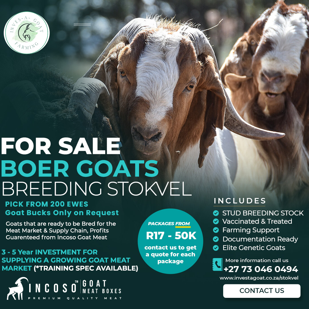 Stovel for Goats - Learn Goat
