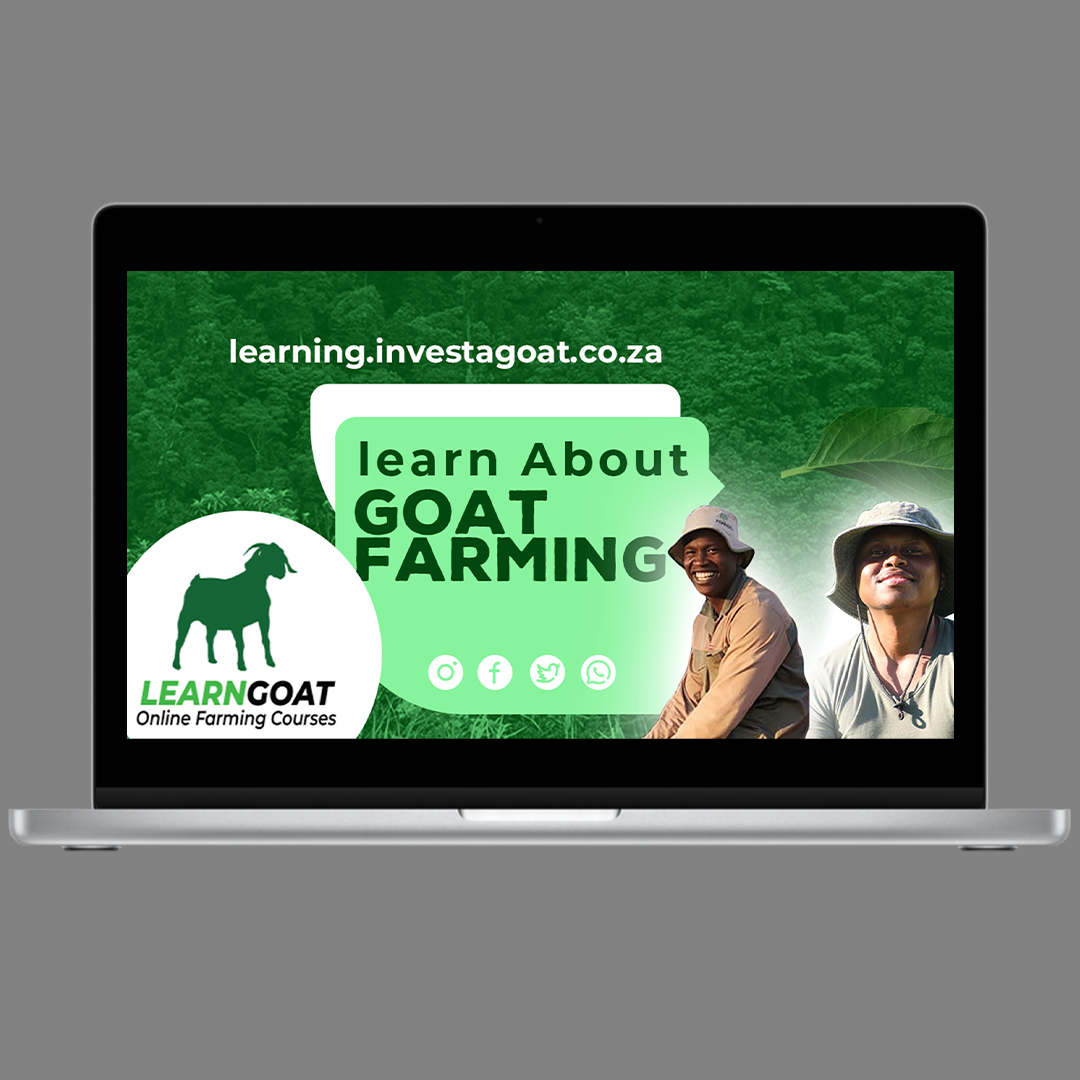 Introduction to Goat Farming Business 101 - Start in the Next 10 Days ...