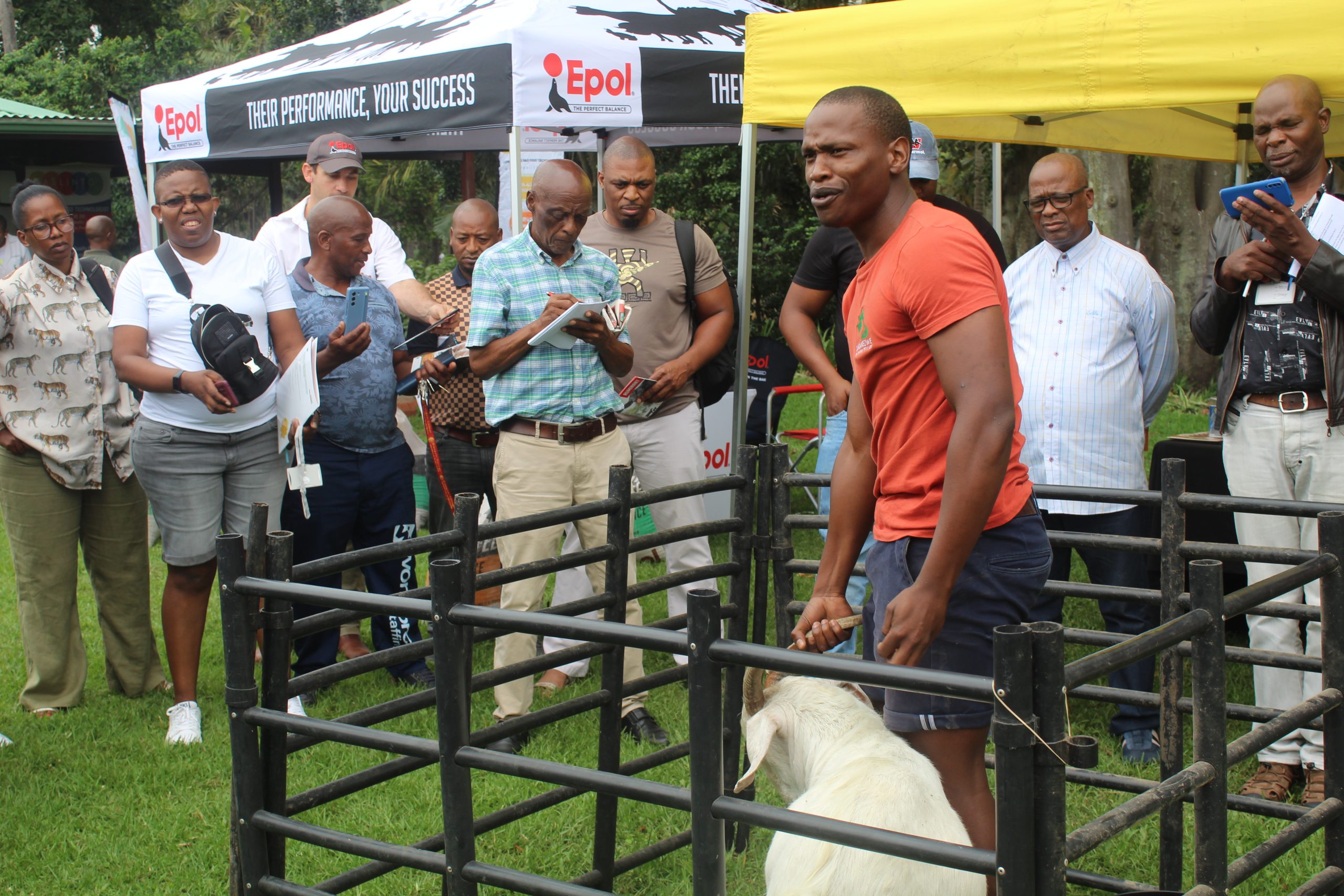 The Ultimate Guide to Raising Goats: Tips and Best Practices - Learn Goat