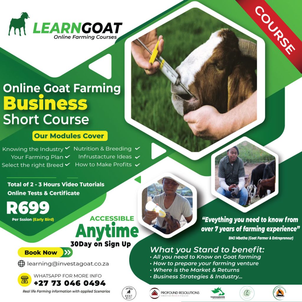 Introduction to Goat Farming Business 101 - Learn Goat